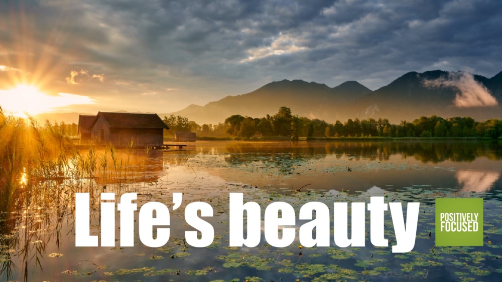 How Beautiful Results Make Rich Lives - Positively Focused